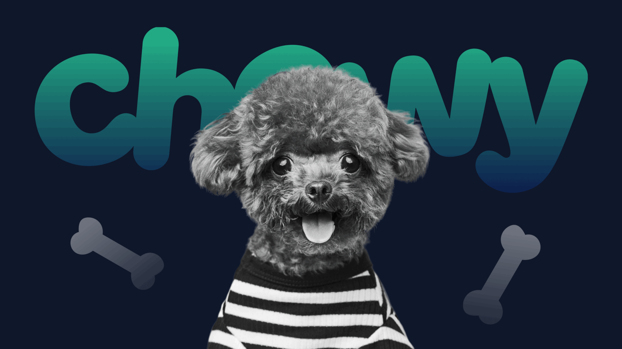 Chewy’s Brand Loyalty Playbook | 7 Key Lessons